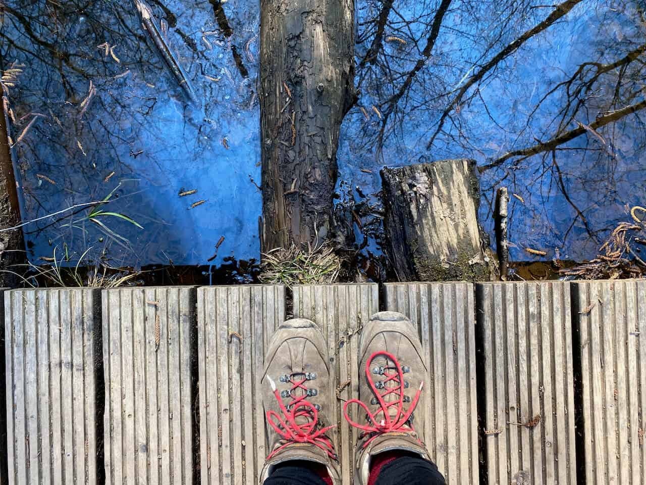 Wanderung durch die Oligser Heide - Teilzeitwandern