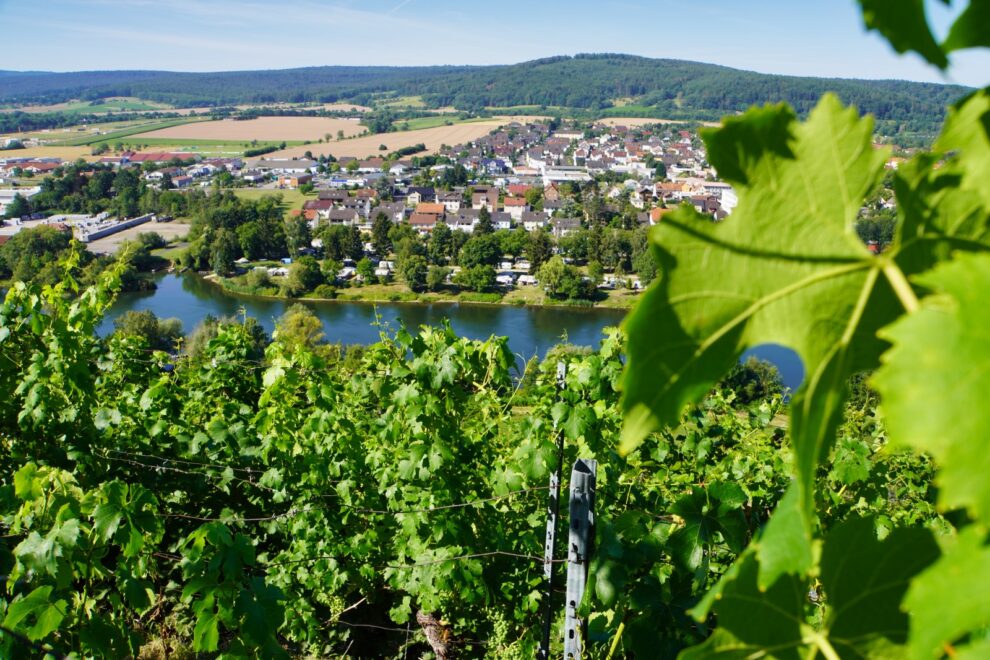 Die schönste Weinwanderung in Deutschland - Teilzeitwandern